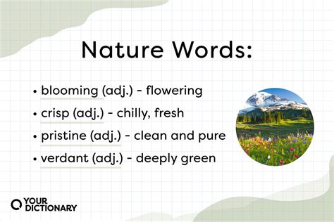 Nature Theme Examples
