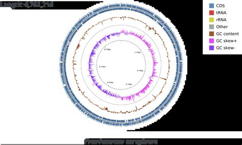 Long Read Bacterial Whole Genome Assembly