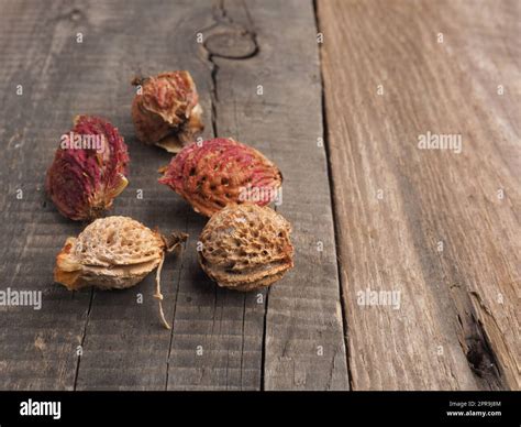 A Variation Of Peach Pits On A Rustic Garden Table Agriculture Concept