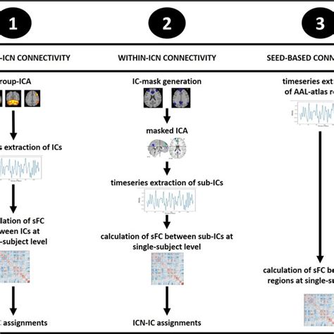 Workflow Of The Three Resting State Fmri Analysis Approaches The Download Scientific Diagram