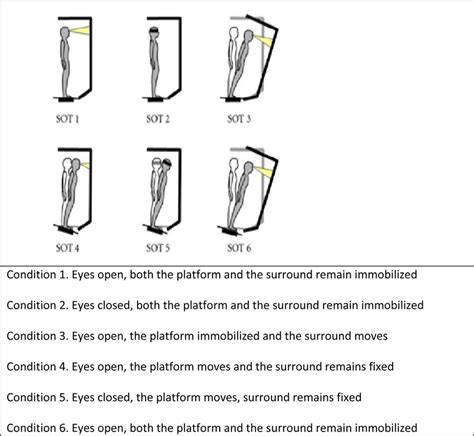 SOT Strategies On CDP Test Battery Download Scientific Diagram