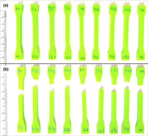 Tensile Test Specimens A Before Experiment B After The Experiment Download Scientific Diagram