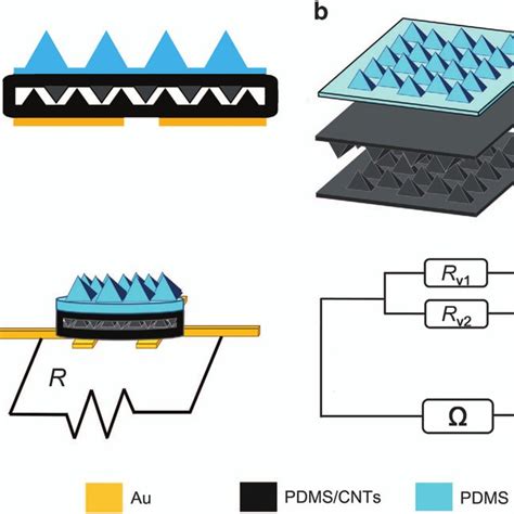 Pdf Pdmsmwcnt Based Tactile Sensor Array With Coplanar Electrodes