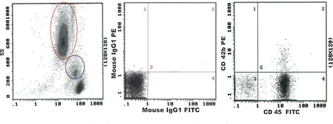 Pdf Circulating Plateletleukocyte Aggregates In Patients With