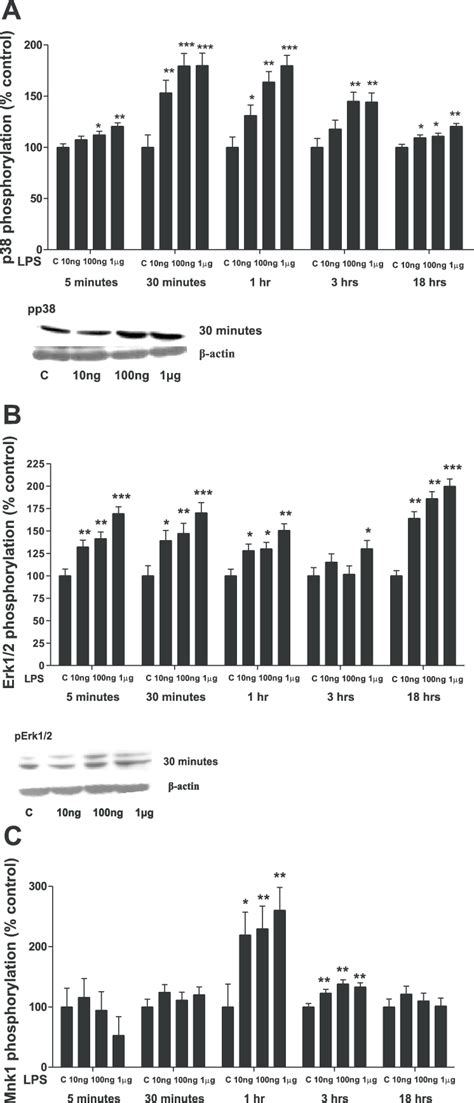 Time And Dose Dependent Effects Of Lps 10 Ng Ml 100 Ng Ml And 1 Download Scientific Diagram