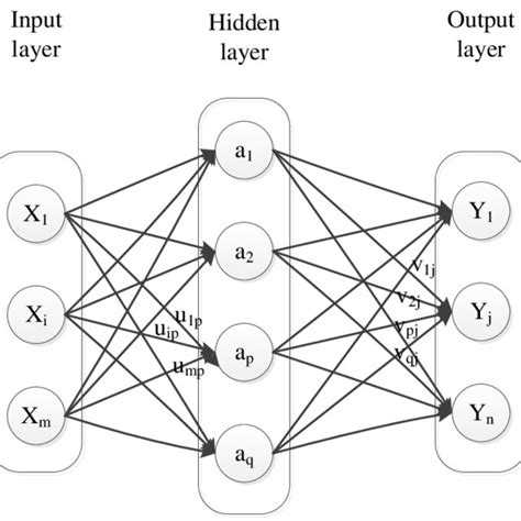 Architectural Of Bp Neural Network Download Scientific Diagram