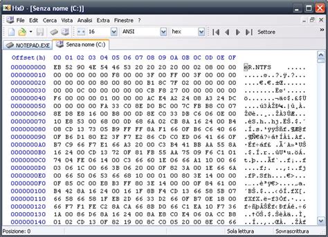 Hex Editor
