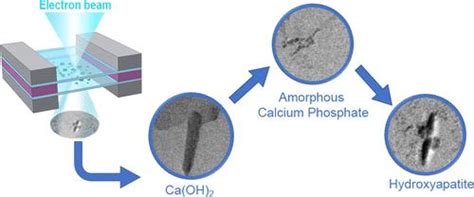 原位 Tem 实时可视化溶液中针状羟基磷灰石晶体的成核和生长 Crystal Growth And Design X Mol