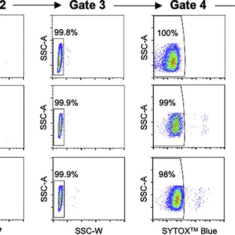 A Representative Gating Strategy For Facs Sorting To Set The