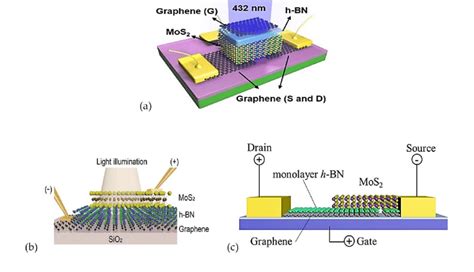 Photodetector Architecture With Lateral Heterostructure Of A Download Scientific Diagram