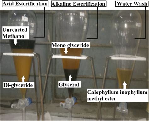 Biodiesel Obtained After A Two Stage Transesterification Process Download Scientific Diagram
