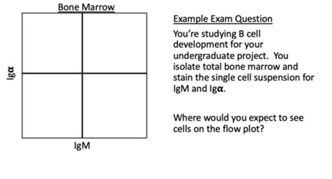 Lecture 4 Biol 430 Flashcards Quizlet