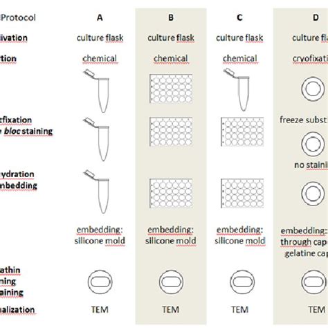 Pdf Transmission Electron Microscopy Sample Preparation Protocols For