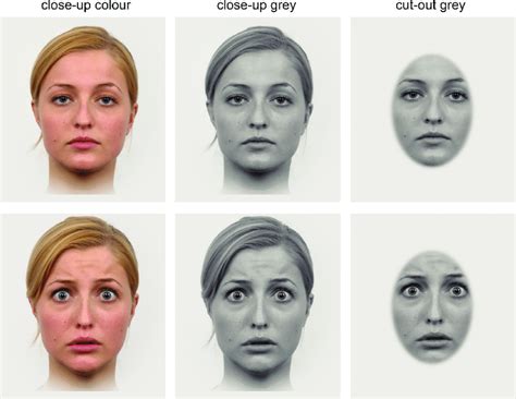 Neutral Face Expression