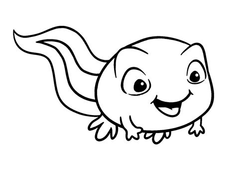 Tadpole Coloring Pages Free Printable Pdf And Online Coloring