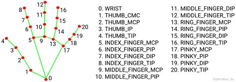windows 基于 mediapipe 实现 handtracking mediapipe hand tracking csdn博客