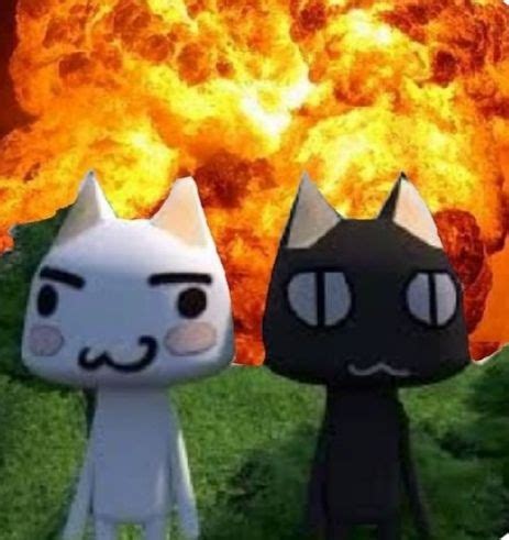 Toro And Kuro Sfondi Carini Immagini Di Ragazza Immagini Del Profilo