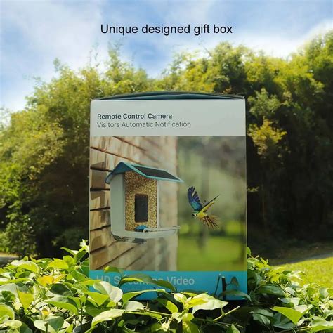 Ai Bird Species Recognition Smart Bird Feeders With Camera And Motion