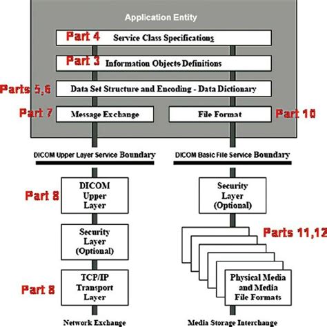 Dicom Storage Service Class User Scu And Service Class Provider Scp