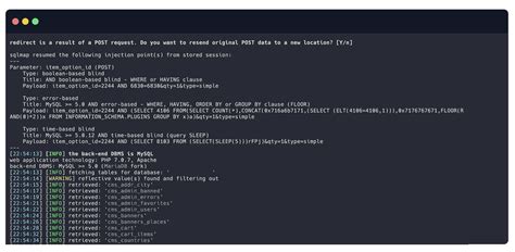 Penetration Testing Anki Security