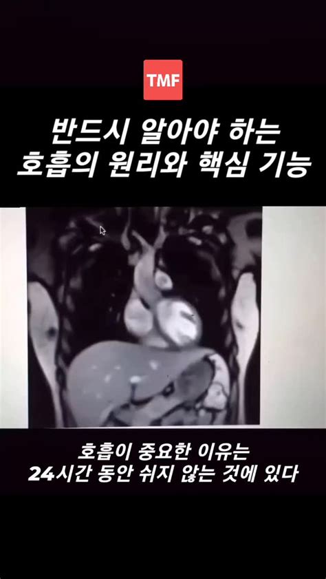 Tmf 부산 체형교정 통증 재활 선수트레이닝 ⭕️⭕️⭕️서울 교육 고관절 활성화 및 강화 부산 12기 교육을 잘 마무리했고