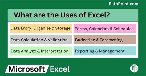 Excel Basics