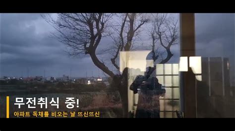 제주 캠핑유랑 3일차 캠핑카 캠핑 제주 제주도 제주도여행 렉스로버 차박 모터홈 Youtube