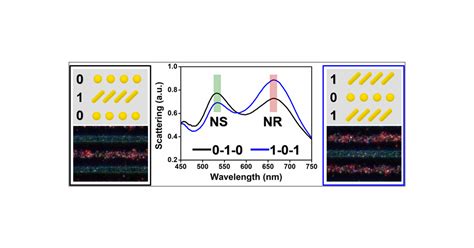 Multiplexed Assembly Of Plasmonic Nanostructures Through Charge Inversion On Substrate For