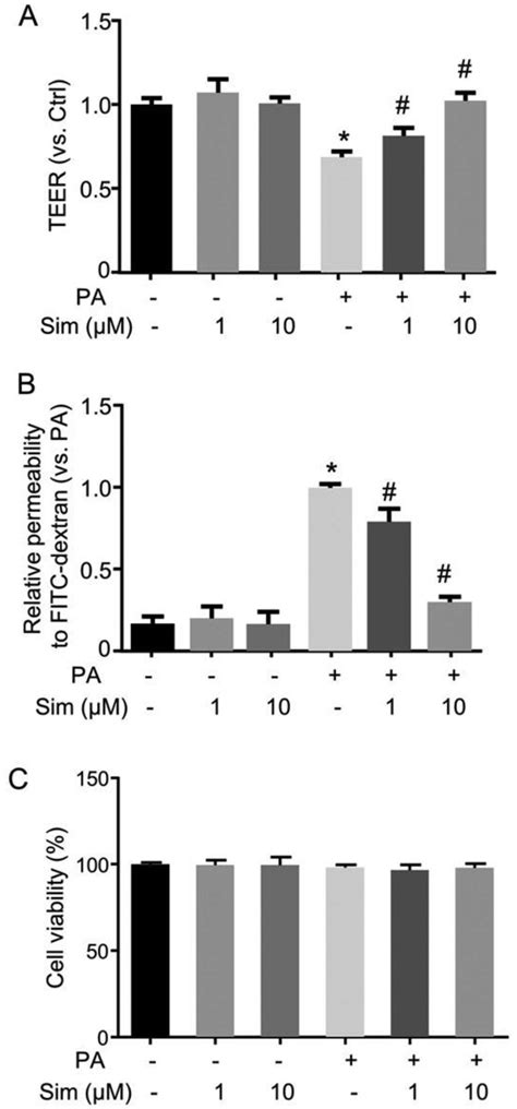 Simvastatin Protects Palmitate Induced Endothelial Hyperpermeability