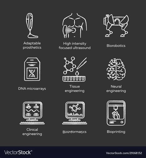 Bioengineering Chalk Icons Set Biotechnology Vector Image