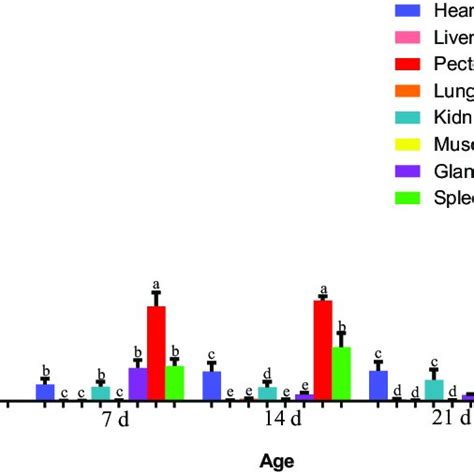 Tissue Distribution Of MSTN Gene Expression At 1 7 14 21 And 28 D Download Scientific