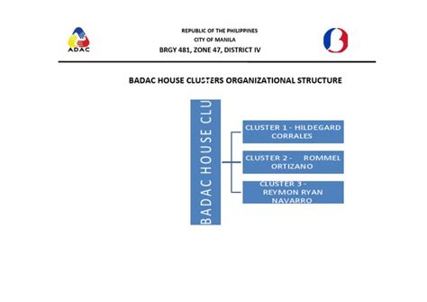 Badac House Cluster Org Structure Pdf