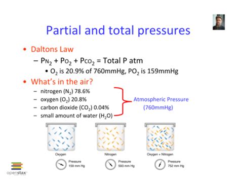 Week 9 Flashcards Quizlet