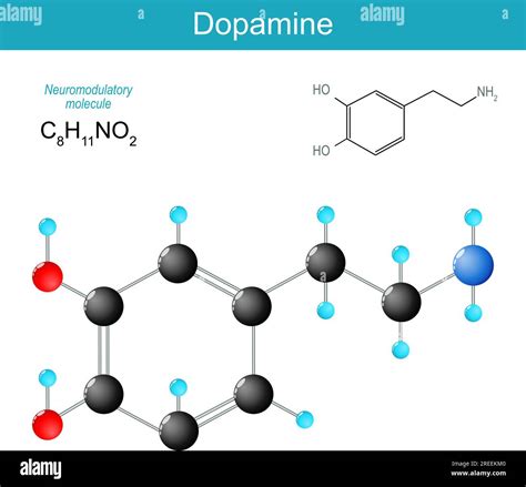 Dopamine Molecule Molecular Chemical Structural Formula And Model Of Monoamine Neurotransmitter