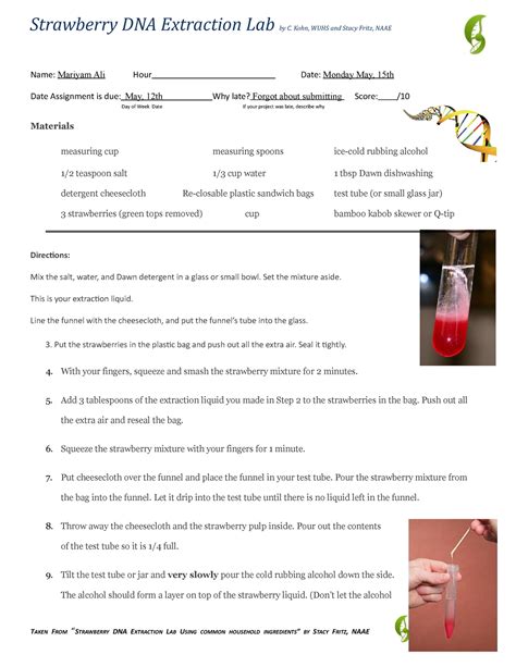 Strawberry Dna Extraction Lab Directions Mix The Salt Water