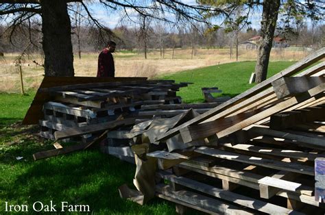 Building A Bee Hive Stand Keeping Backyard Bees