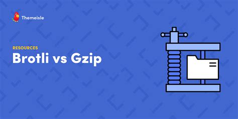 Brotli Vs Gzip Which Compression Is More Effective In Wordpress