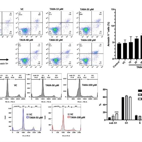 Apoptosis And Cell Cycle Progression Of Taiia Treated Thp 1 Cells A