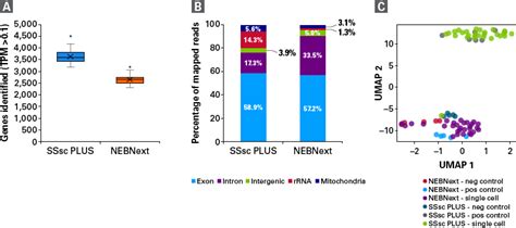 Complete Smart Seq Cdna Synthesis And Library Preparation From Single Cells