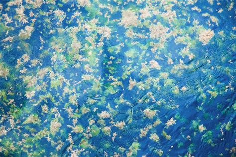 Premium Photo Floating Algae On The Surface Of The Sea