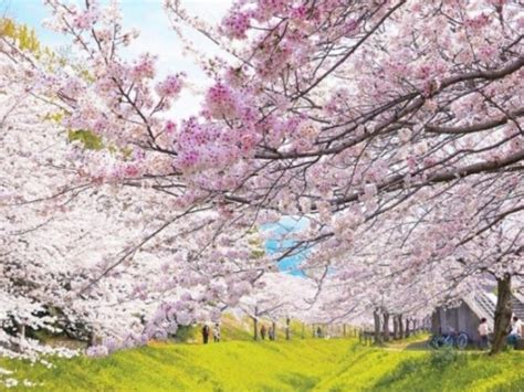 인천부천 4050 좋은인연만들기