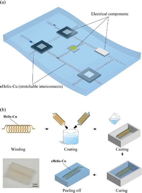 Schematic Illustration Of The Fabrication Process Of A 3d Download Scientific Diagram