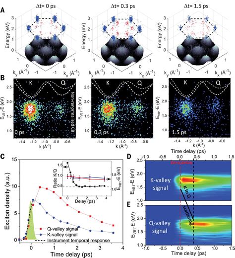 Directly Visualizing The Momentum Forbidden Dark Excitons And Their Dynamics In Atomically Thin
