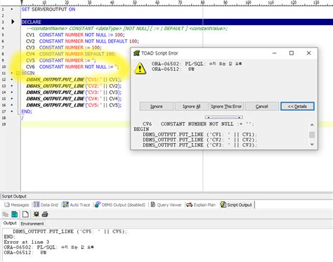 Oracle Plsql 상수 선언 Constant Declaration 오라클