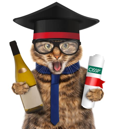 Cissp Pass Rates What You Dont Know Ciso Global Formerly Alpine Security