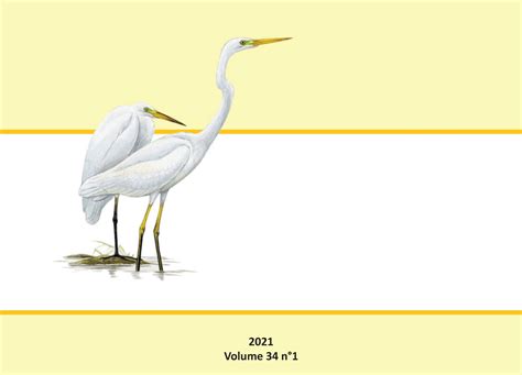 Bird Census News 34 1 Ebcc Ebcc