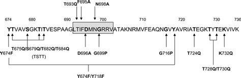 Site Directed And Deletion Mutagenesis Map Of The Rgpb Ctd Arrows Download Scientific Diagram