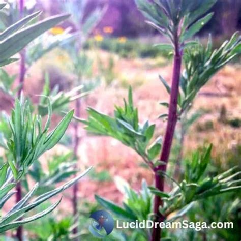 Muhammad Saeed Content Writer 2g Energy Ag Xing