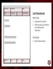 Prelab Notebook Pdf Exp Number Experiment Date Name Lab Partner Course Section Lab Notebook