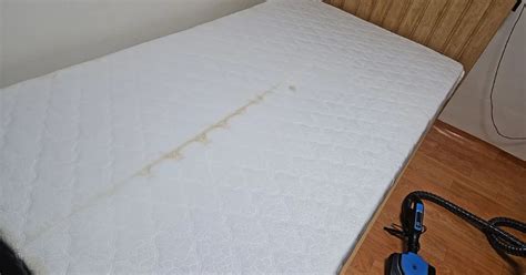 약속시간에 정확하게 오셔서 자세하게 설명해주시고 꼼꼼하게 일처리를 잘해주셨습니다 드러웠던 침대가 깨끗해지니까 저마음까지 상케해졌고 기쁜까지 좋내요~ 수고하셨습니다